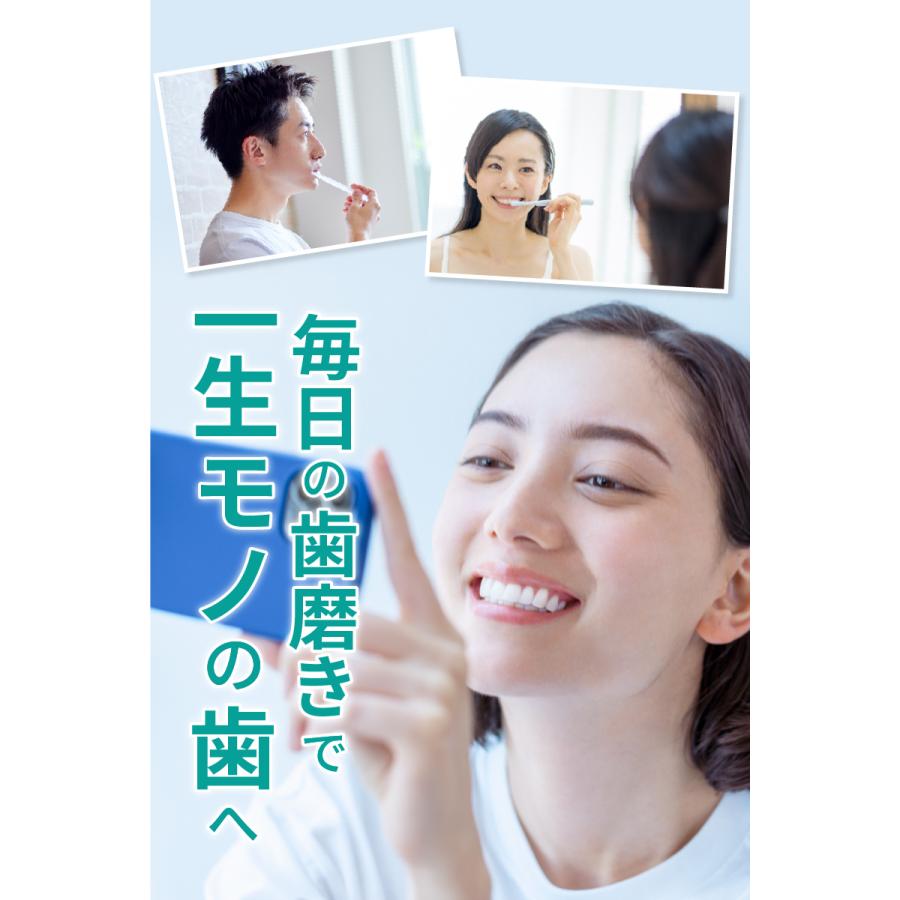 歯周病 予防 歯磨き粉 ホワイトエッセンス ペリオテクト 医薬部外品 シトラスミックス味 歯 高級 歯科 研磨剤なし フッ素 CPC IPMP ...