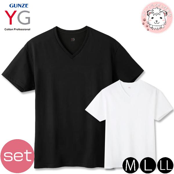 GUNZE tシャツ 2枚セット メンズ 半袖 VネックTシャツ グンゼ YG コットン 超速吸水 V首Tシャツ YV0615V M/L/LL : ホワイトライオン倶楽部 - 通販 ...