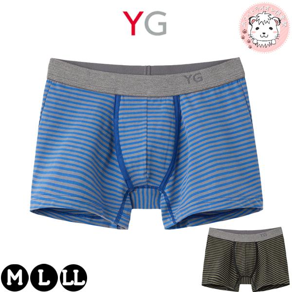 GUNZE グンゼ YG ボクサーパンツ 前あき M/L/LL | 綿混 ベア天竺 ボーダー メンズ 綿 ボクサーブリーフ 下着 肌着 インナー YV4281K : ホワイトライオン倶楽部 ...