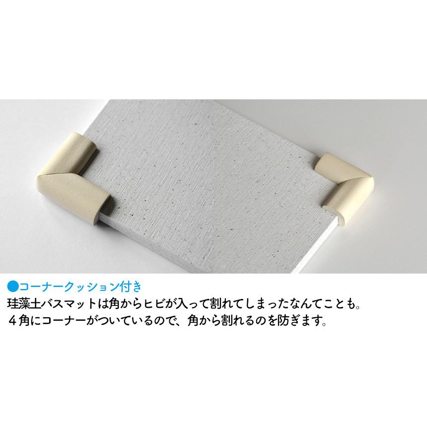 bws SELECTION バスマット ノンアスベスト 日本製 速乾 吸水 Lサイズ モイストレイ 滑り止め Moiss モイス bwsSELECTION 燕三条 : アイデア雑貨1000点 ...