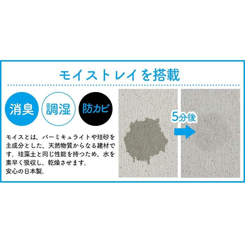 bws SELECTION 水切りマット 珪藻土と同じ性能のモイス モイス moiss 水切りトレー 水切りトレイ 吸水トレー 速乾 防カビ 燕三条 日本製 スライドタイプ専用 ST ...