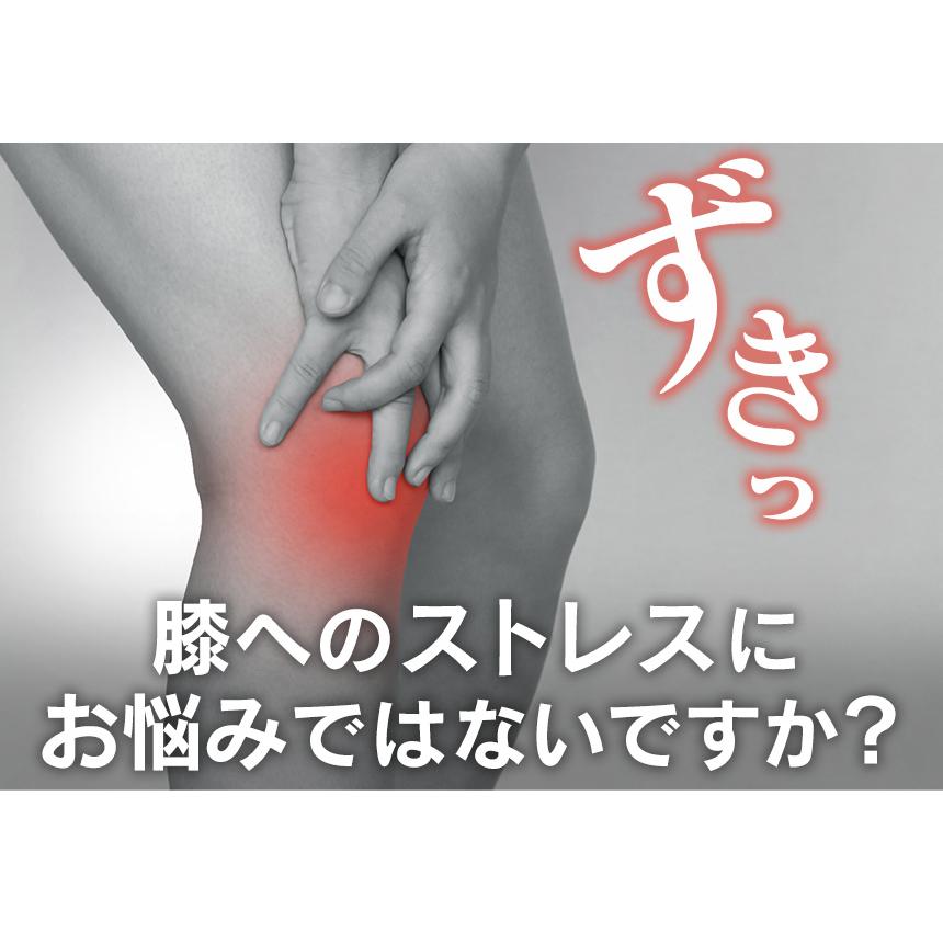 【10%還元】TV紹介 膝サポーター アルコープラス【2枚組】 皮膚感覚ひざサポーター arukoプラス ひざサポーター : 暮らしの幸便 - 通販 - Yahoo!ショッピング