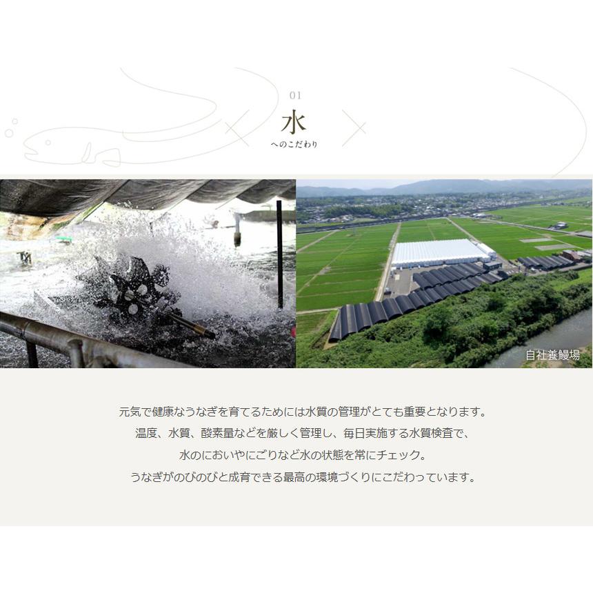 【直送】特大鹿児島産鰻 3尾【PFU-010】 : 暮らしの幸便 - 通販 - Yahoo!ショッピング