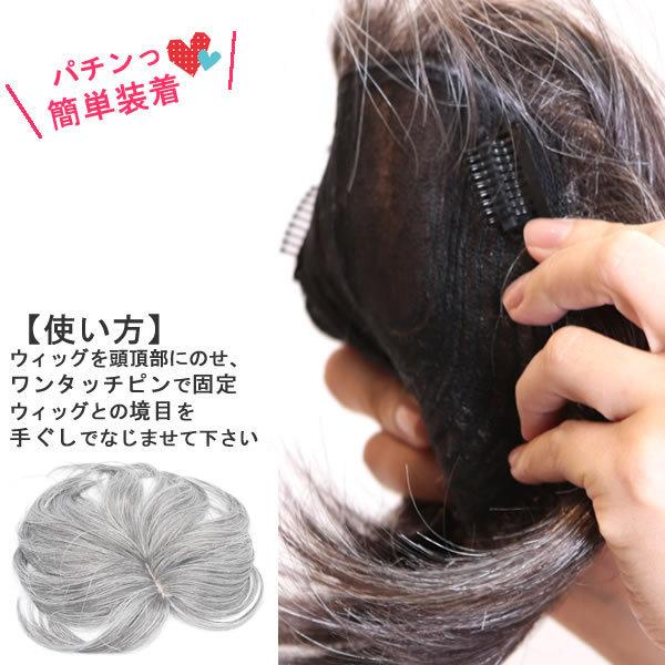 ウィッグ 白髪 部分ウィッグ 薄毛隠し 女性 グレーヘアー ウィッグ 白髪 部分ウィッグ 薄毛隠し 女性 グレーヘアー