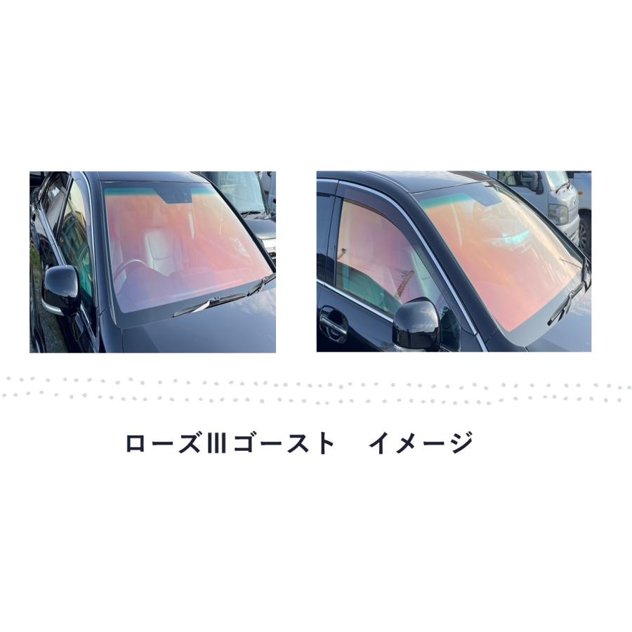 BRAINTEC（ブレインテック） カーフィルム ゴーストフィルム ローズ3ゴーストAR88 アトレー S700V フロント 熱成形 カット済み : WILDDOG-SAGA - 通販 ...