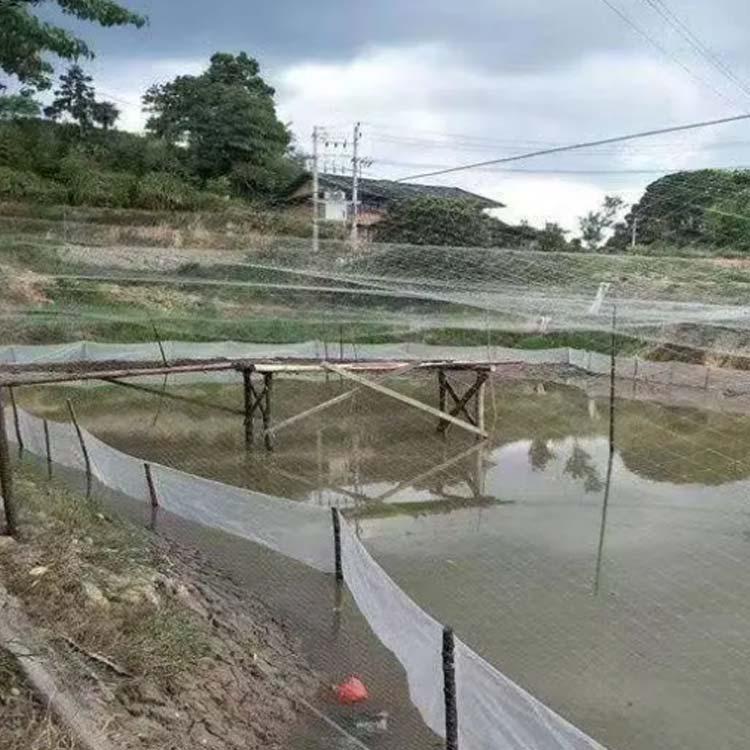 防蝶ネット 防鳥ネット 鳥害対策 防鳥網 防蝶網 果樹栽培 長さ10m/30m/50m 菜園用 防蛾鳥よけネット 鳩よけ 直がけ防鳥網 長さ10m/3 : Will Style - 通販 ...