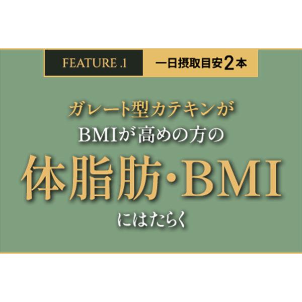 伊藤園 おーいお茶 抹茶ショット 送料無料 お〜いお茶 MATCHA SHOT ボトル缶 265ml×2ケース/48本(048)『ITO』機能性表示食品 : ワイン.comビールチューハイのお ...
