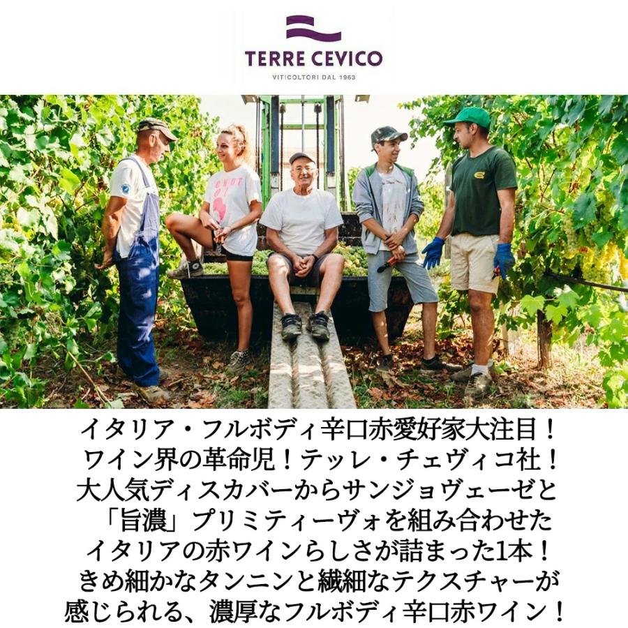 ディスカバー イタリア サンジョヴェーゼ プリミティーヴォ 2024 テッレ チェヴィコ社 プーリア IGTプーリア : うきうきワインの玉手箱 - 通販 - Yahoo!ショッピング