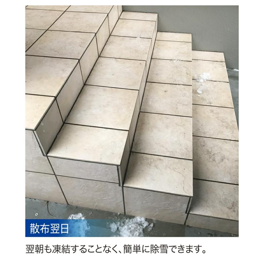 融雪剤 トーカス Si 濃縮液 2L (3kg) BTOKA006 ABC商会 塩化カルシウム 不使用 融雪 ノン 塩カル 凍結防止剤 錆びない 無塩 融氷剤 : ワイズライフYahoo!店 ...