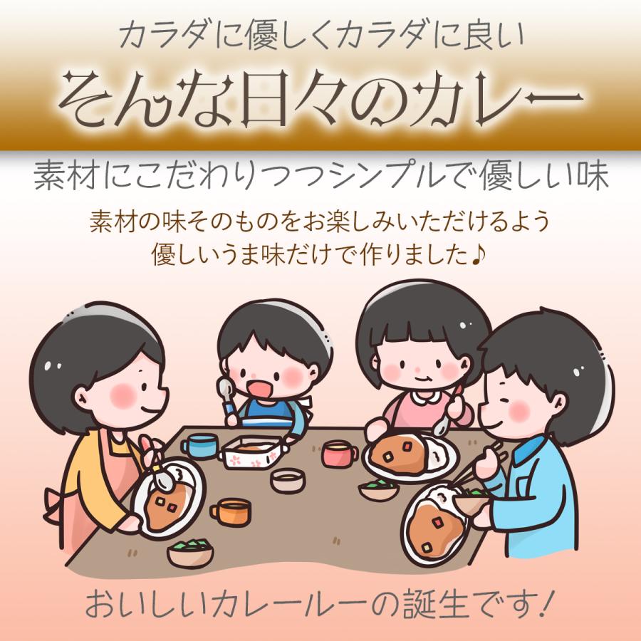 そんな日々のカレー 115g×2個 （固形カレールー カレールウ）新商品 化学調味料不使用 ルー、固形ルー | rcgc.sub.jp