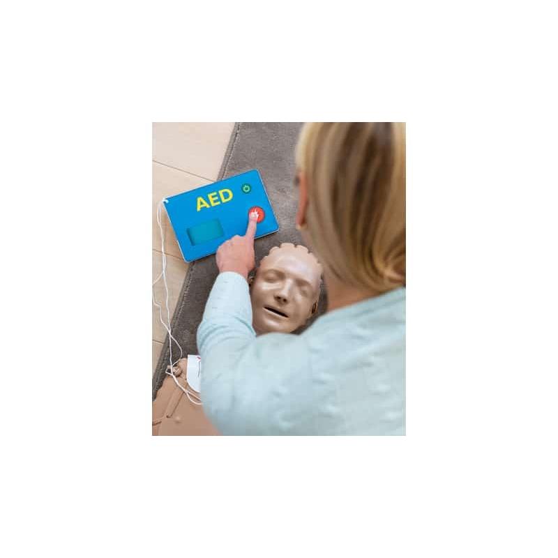 レールダル Mini Anne ミニアン グローバル Laerdal CPR AED 心肺蘇生訓練用人形 ユニバーサルデザイン 103-00050 : ウィズネット Withnet - 通販 ...