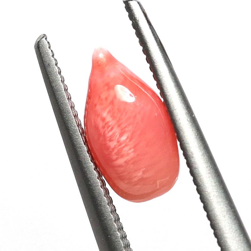 コンクパールルース0.92ct 8.7mm×4.7m×3.35mm 艶やか メラメラ炎模様きれい コレクションに ボトル形 : ジュエリーワイ ...