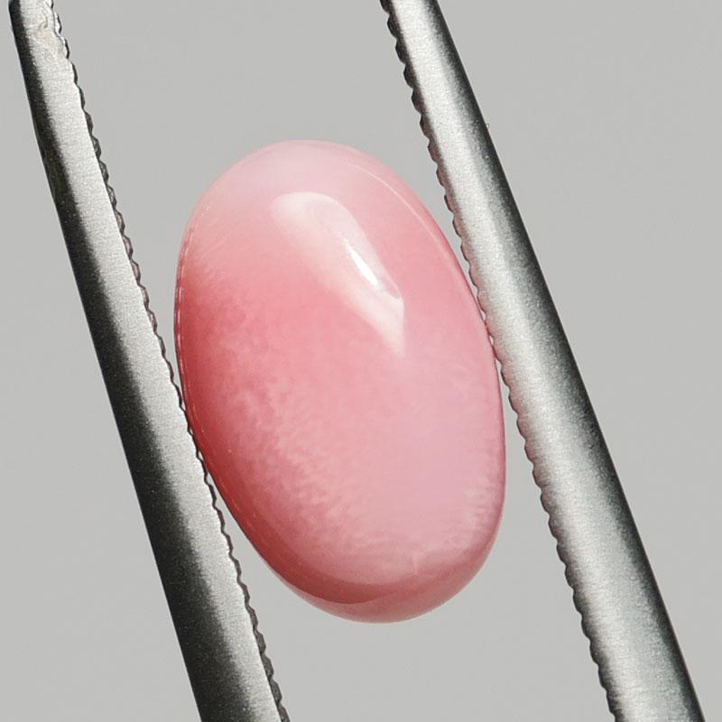 コンク天然真珠ルース2.193ct 9.14mm×6.1mm×4.7mm 揺らめく火炎模様 2ctUPサイズ 宝石鑑別書附属 自然の恵みが ...