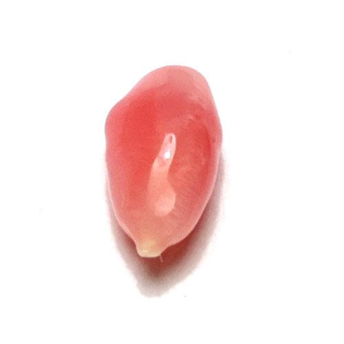 コンクパールルース0.32ct 約6.2mm×2.8mm×2.5mm レアストーンコレクションに入れてください 火焔模様見られます ...