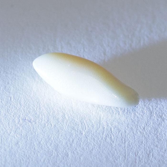 コンクパールルース バロック形 0.66ct 約9.5mm×4.0mm×3.8mm 橙色黄色 やわらかいイエロー色 光を当てるとルーペで指紋状 ...