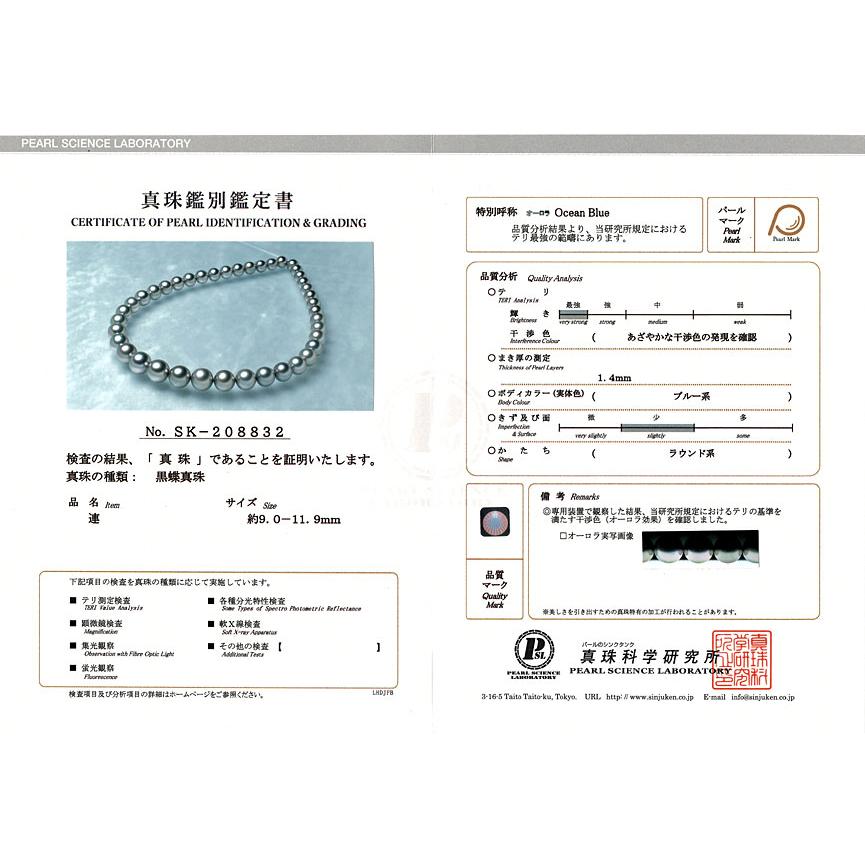 ネックレス オーシャンブルー鑑別書付属 シルバーグレイ色の黒蝶 ネックレス オーシャンブルー鑑別書付属 シルバーグレイ色の黒蝶