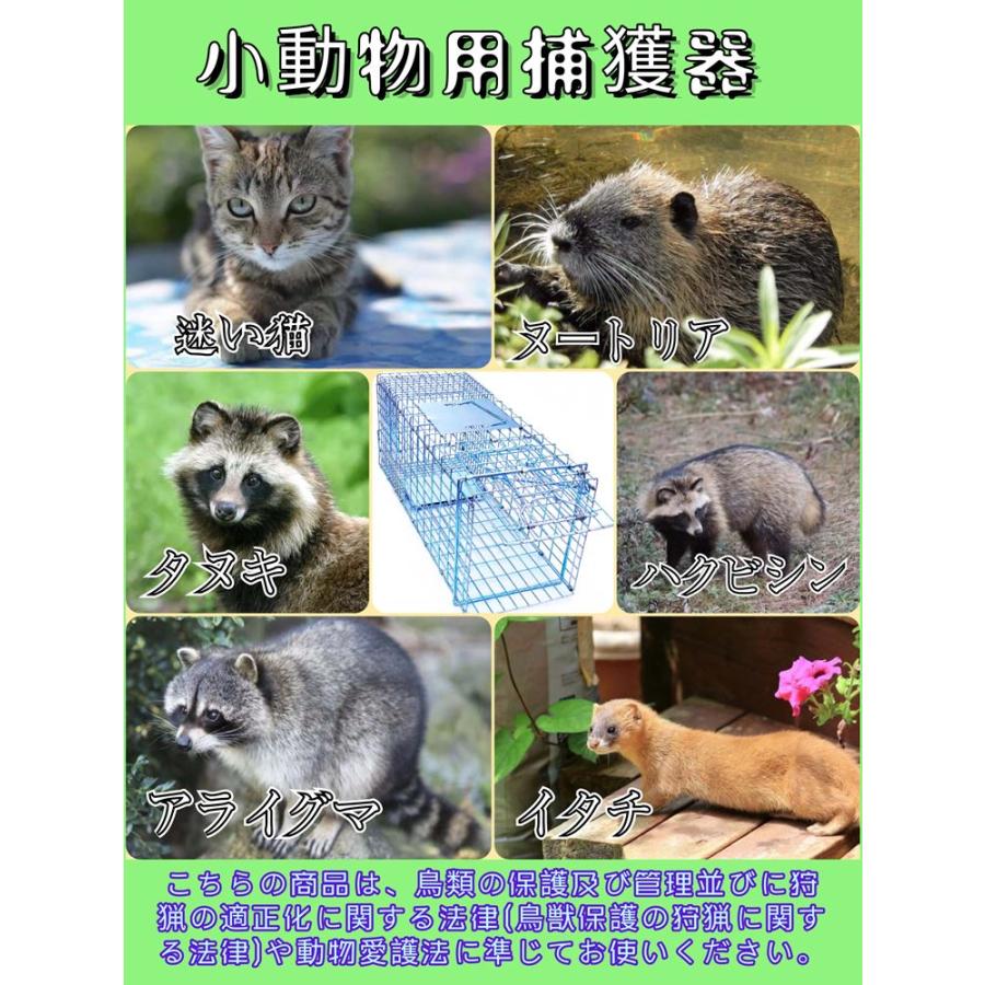 動物捕獲器 (小サイズ 約61×18×21cm) アニマルトラップ 踏板式 組み立て 迷子猫 野良猫保護 農作物害獣被害防止 イタチ タヌキ ヌートリア ハクビシン : ワンエメリー - 通販 ...