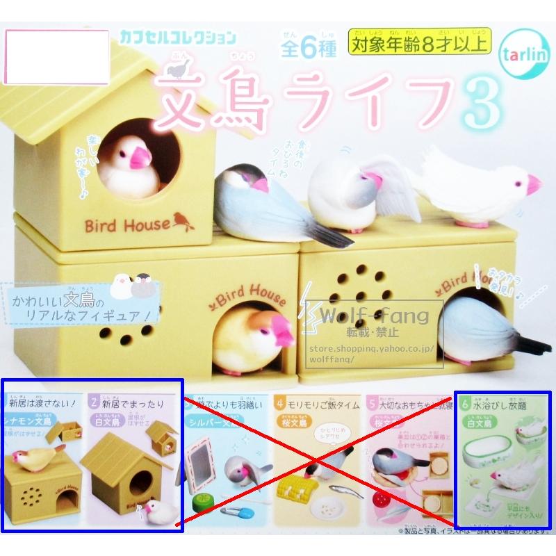 tarlin 文鳥ライフ3 3種 （定形外発送可 一配送累計 2セット分まで） : Wolf-Fang.com - 通販 - Yahoo!ショッピング