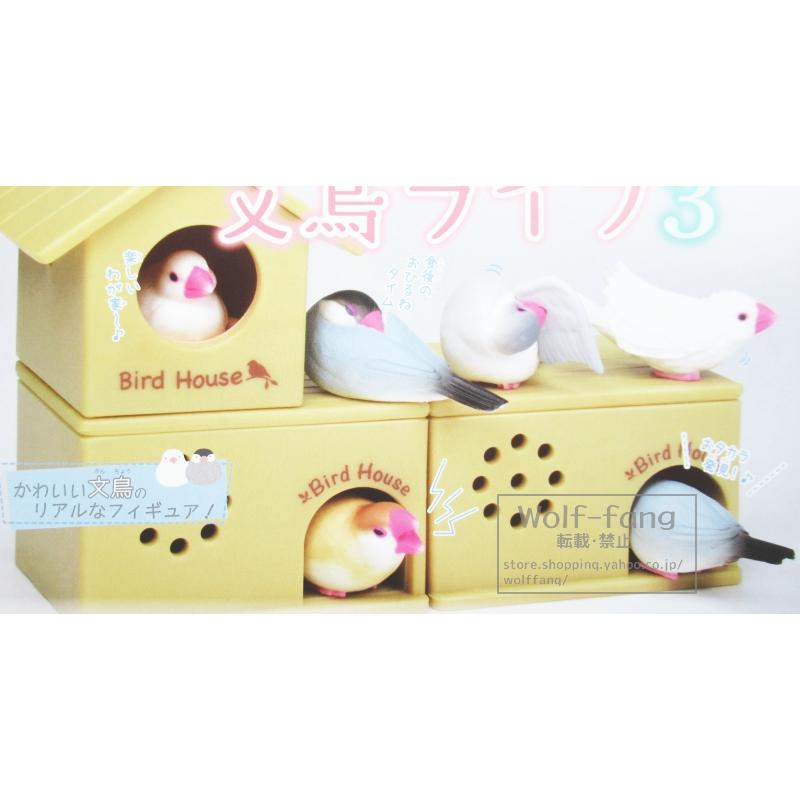 tarlin 文鳥ライフ3 全6種 （定形外発送可 一配送累計 2セット分まで） : Wolf-Fang.com - 通販 - Yahoo!ショッピング