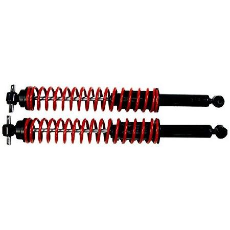 ACDelco 519-22 Specialty Rear Spring Assisted Shock Absorber : World ...
