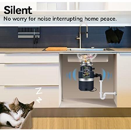 Chooba Garbage Disposal 1HP, Food Waste Continuous Feed, with Power ...