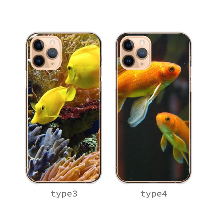 Libero 5G IV リベロ5G4 ケース III 5G3 カバー 魚 熱帯魚 クマノミ 写真 可愛い おしゃれ かわいい : WOOD GREEN - 通販 - Yahoo!ショッピング