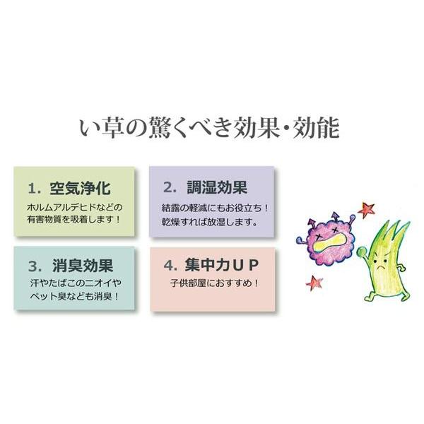 上敷き 本間6畳 約286×382cm い草ラグ 国産 抗菌防臭 : おしゃれ家具・雑貨 木製リビング - 通販 - Yahoo!ショッピング