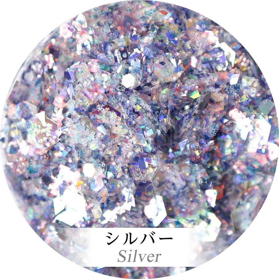 グリッターラメ ネイル スパンコール ラメ【シルバー】銀 キラキラ ラメグリッター オーロラ パウダー ネイルアート NP-016 : np-016 : あんしんや - 通販 - Yahoo ...