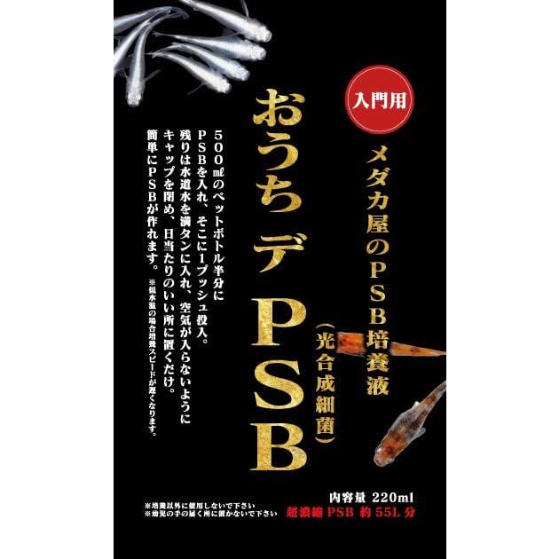 メダカ【おうちデPSB 1本】PSB培養液 めだか ゾウリムシ ミジンコ PSB と同梱包可能 生クロレラ同梱不可 : 高級メダカworld green aquarium - 通販 ...