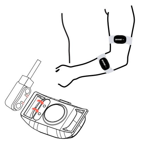 【即納】iGPスポーツ アームバンド光学式ハートレートモニター HR70 : ワールドサイクル - 通販 - Yahoo!ショッピング