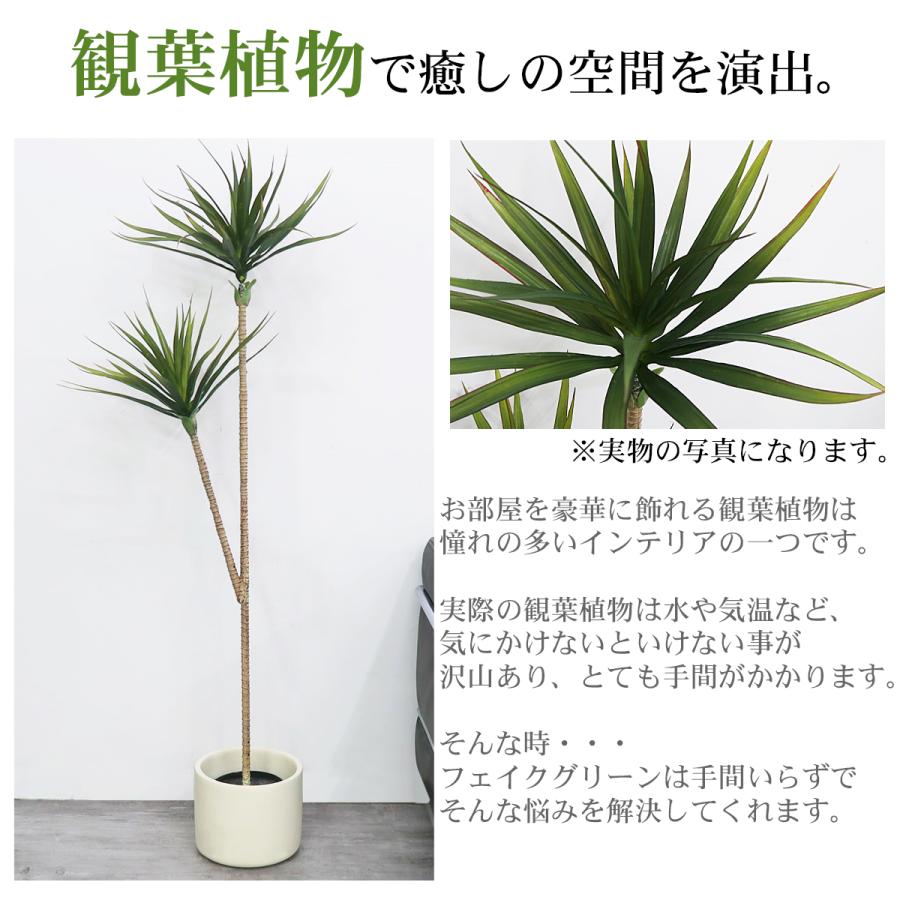 観葉植物 フェイク ユッカツリー 人工観葉植物 140cm 鉢付き リアル シンプル 水やり不要 インテリア 玄関 リビング お祝い おしゃれ KS-05 : WORLDNETヤフー ...