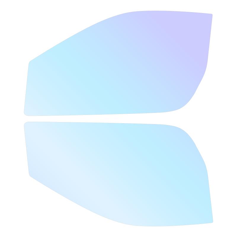 BRAINTEC オーロラ 遮熱フィルム (ピュアゴースト90) エルグランド (E51) カーフィルム フロントドアセット : ワールドウインド株式会社 - 通販 - Yahoo!ショッピング