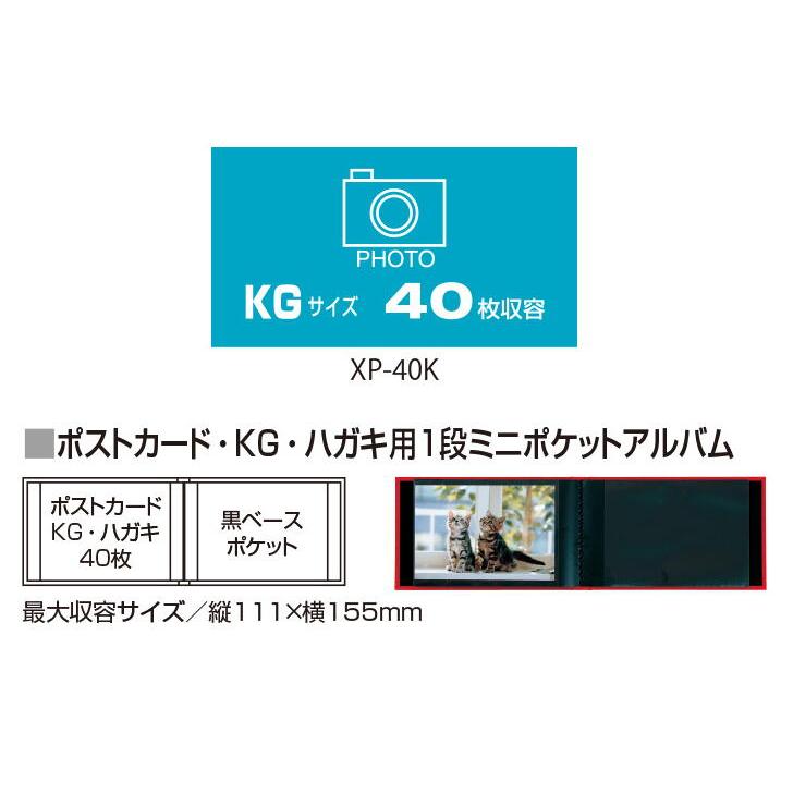 セキセイ ハーパーハウス レミニッセンス ミニポケットアルバム ポストカード KG ハガキサイズ 40枚収容 ブルー BU XP-40K-10 : xp-40k-10 : Office WOW ...