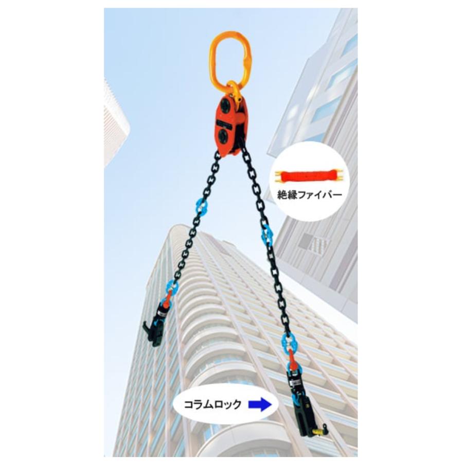 象印 【直送品】象印チェンブロック チェーンエコライザー ホイスト クレーン CE-40(CE-40000) : ホイストショップKCS - 通販 - Yahoo!ショッピング