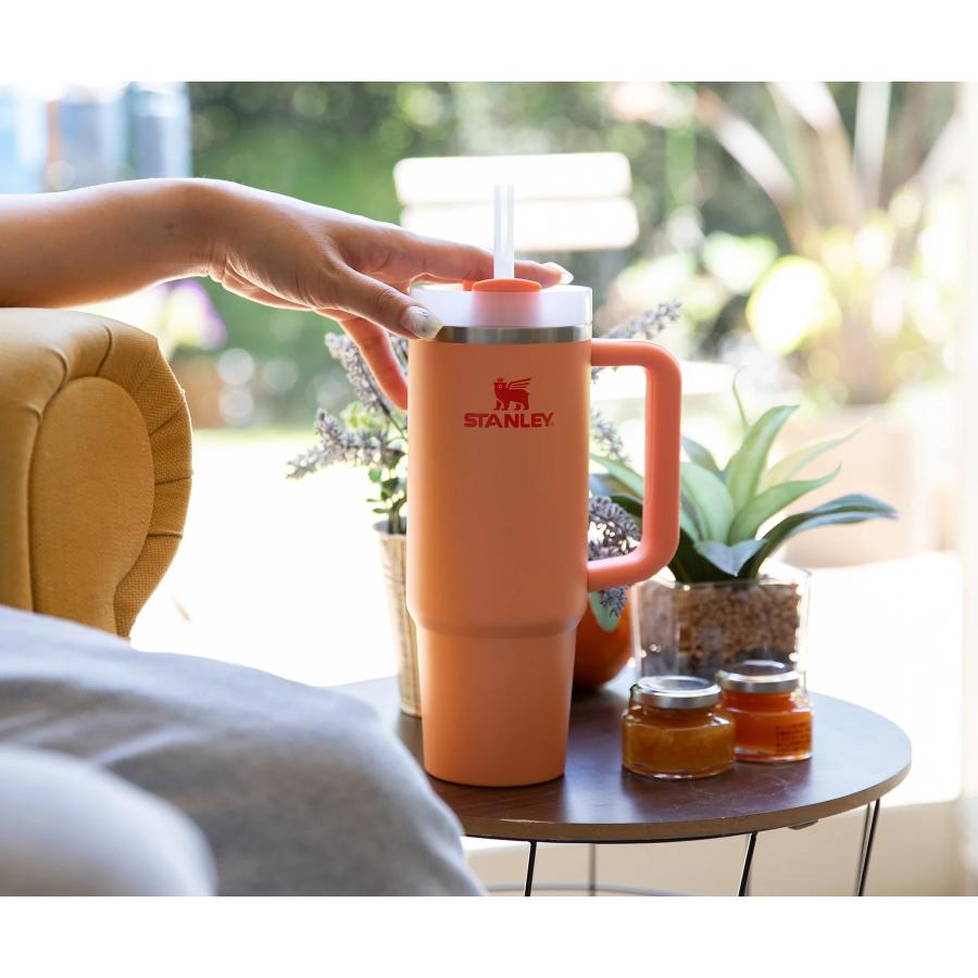 STANLEY スタンレー 10-11825 H2.0 真空スリムクエンチャー 0.88L カラーNectarine アウトドア キャンプ ...