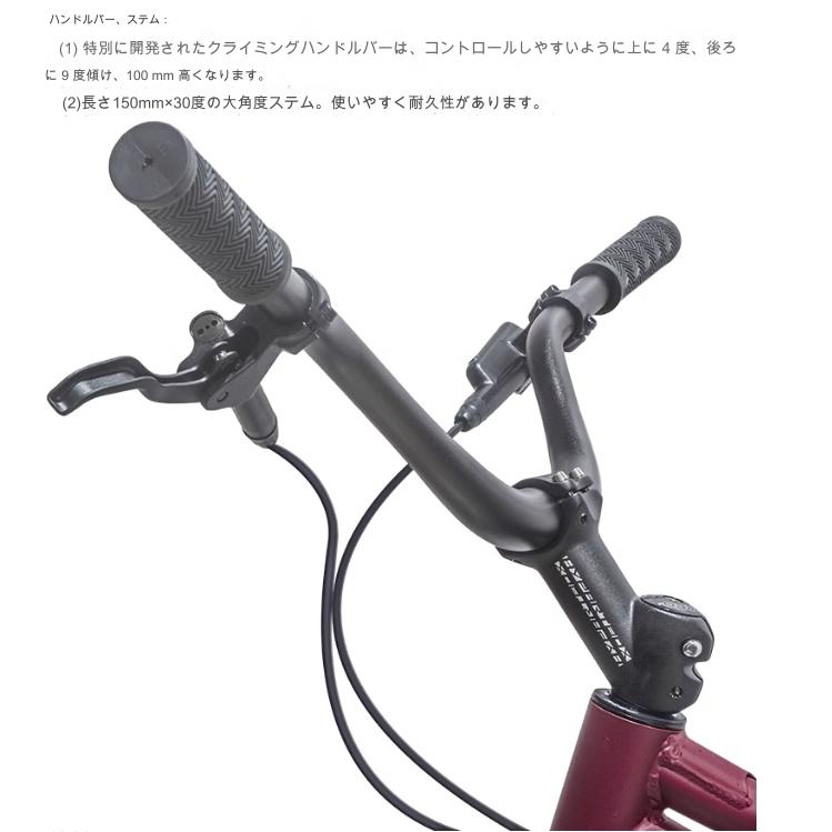 自転車 20インチBMXトライアルバイク/初心者および上級ライダー 自転車 20インチBMXトライアルバイク/初心者および上級ライダー