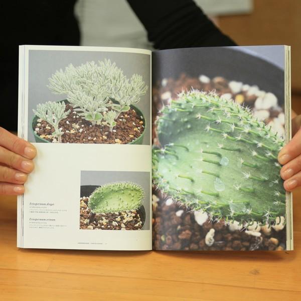 本：UNDER GROUNDS -CAPE BULB BOOK-*資材 : 遊恵盆栽 Yahoo!店 - 通販 - Yahoo!ショッピング