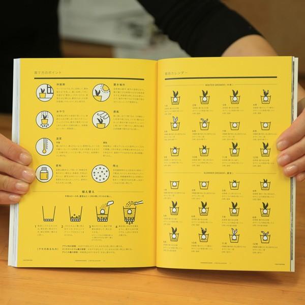 本：UNDER GROUNDS -CAPE BULB BOOK-*資材 : 遊恵盆栽 Yahoo!店 - 通販 - Yahoo!ショッピング