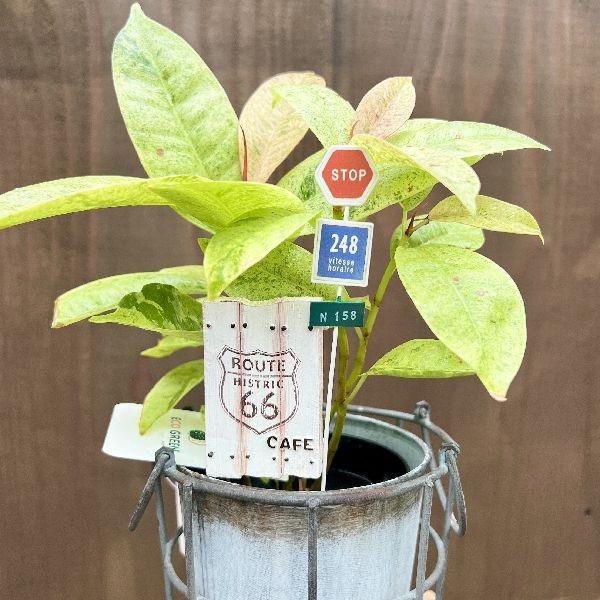 おしゃれ 雑貨 インテリア オブジェ：ガーデンピック ROUTE66*ルートサインカフェピック : 遊恵盆栽 Yahoo!店 - 通販 - Yahoo!ショッピング