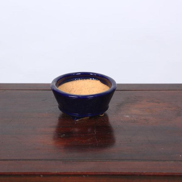 鉢：服部 丸鉢 8cm【現品】* 資材 : 遊恵盆栽 Yahoo!店 - 通販 - Yahoo!ショッピング