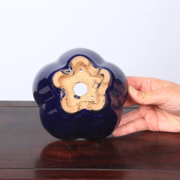 鉢：服部 輪花鉢 13.3cm【現品】* 資材 : 遊恵盆栽 Yahoo!店 - 通販 - Yahoo!ショッピング