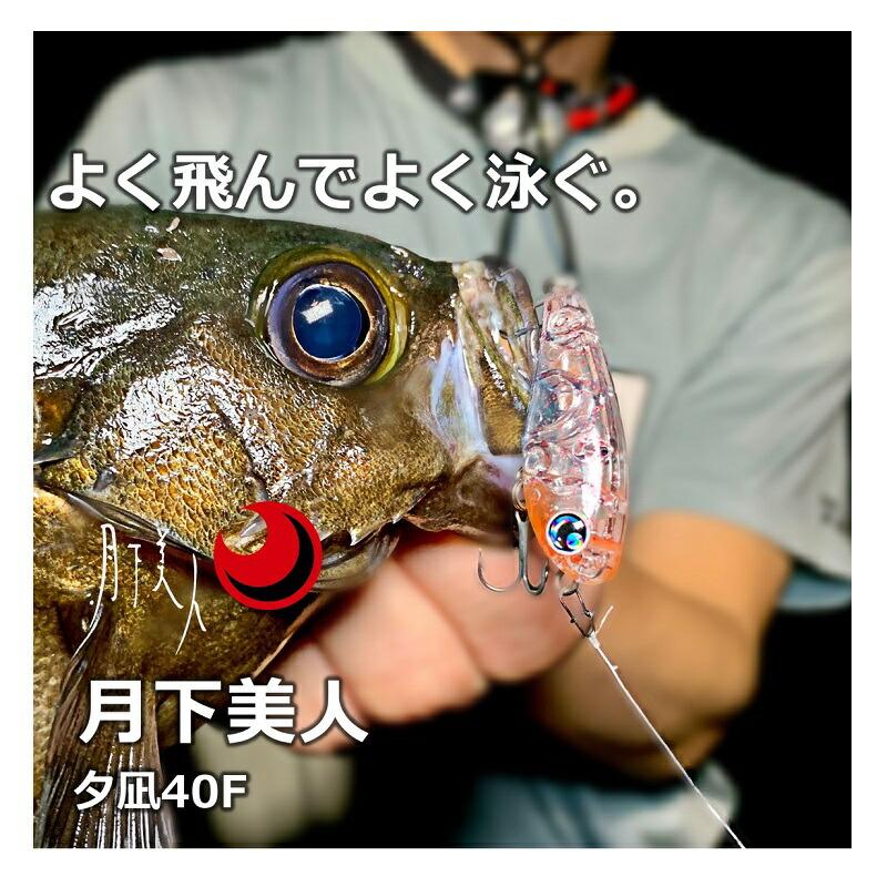 DAIWA（釣り） ダイワ 月下美人 夕凪 40F漂 ケイムラホロイワシ : つり具のBunBun Yahoo!店 - 通販 - Yahoo!ショッピング