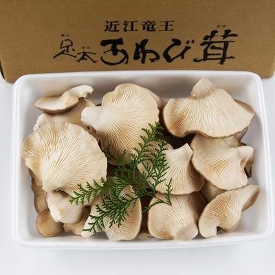 ふるさと納税 竜王町 滋賀県竜王町産ヘルシーきのこ「足太あわび茸」約850g : Yahoo!ふるさと納税 - 通販 - Yahoo!ショッピング