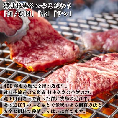 ふるさと納税 竜王町 近江牛 澤井牧場 焼肉盛り合わせ(霜降) 600g K047 : 1040923 : Yahoo!ふるさと納税 - 通販 - Yahoo!ショッピング