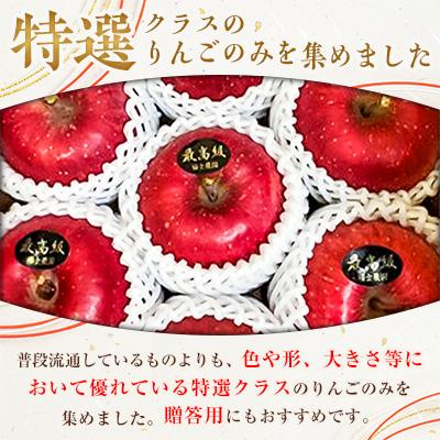 ふるさと納税 青森市 りんご 「サンふじ」 糖度14度以上保証 約3kg (8〜12玉) 青森市長賞受賞 : 1085322 : Yahoo!ふるさと納税 - 通販 - Yahoo!ショッピング