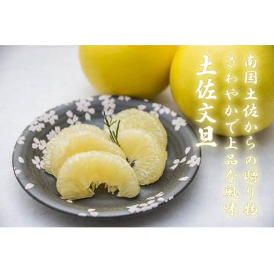 ふるさと納税 土佐市 土佐文旦大玉(4L・3L)サイズ10kg : Yahoo!ふるさと納税 - 通販 - Yahoo!ショッピング
