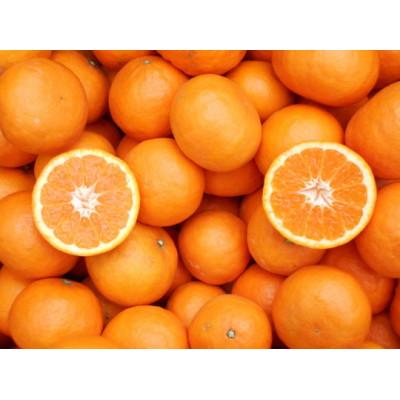 ふるさと納税 観音寺市 2026年発送 はれひめ フリーサイズ(2S〜L) 約5kg : Yahoo!ふるさと納税 - 通販 - Yahoo!ショッピング