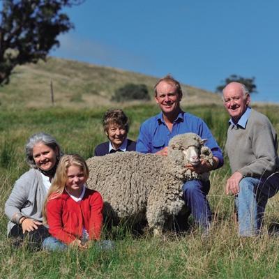 ふるさと納税 泉大津市 ザ・プレミアム ソフゥール 掛け毛布 シングル 140×190cm : Yahoo!ふるさと納税 - 通販 - Yahoo!ショッピング