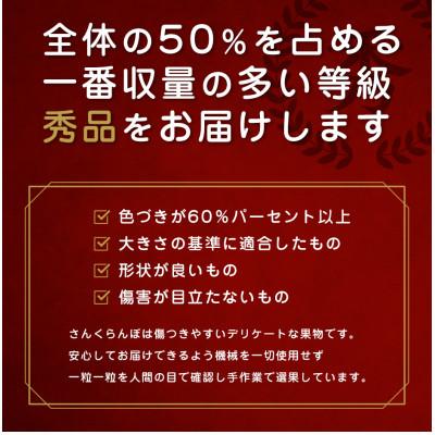 ふるさと納税 寒河江市 2025年産 さくらんぼ 「 紅秀峰 」 600g 秀品 2L以上 (300g×2) 山形県産 : 1149667 : Yahoo!ふるさと納税 - 通販 ...