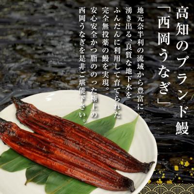 ふるさと納税 芸西村 高知ブランド鰻「西岡うなぎ」L うなぎの蒲焼き6尾セット(約990g) タレ付【KGP063】 : Yahoo!ふるさと納税 - 通販 - Yahoo!ショッピング